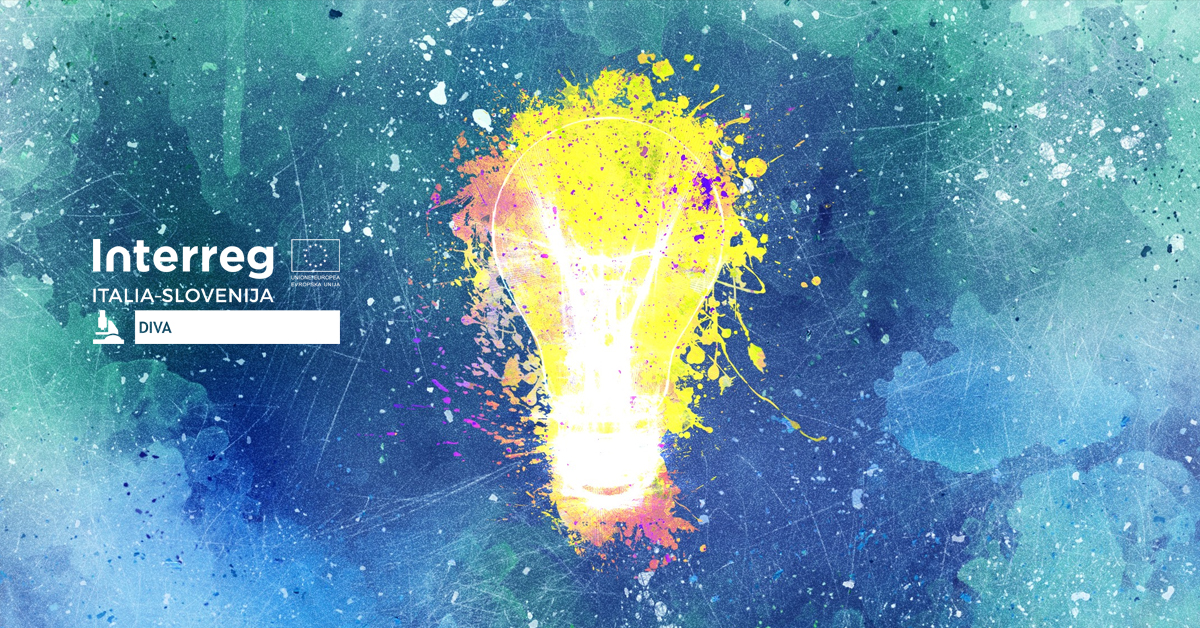 DIVA Assessment Tool - Asessment Tool